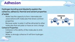 Cohesion Chemistry