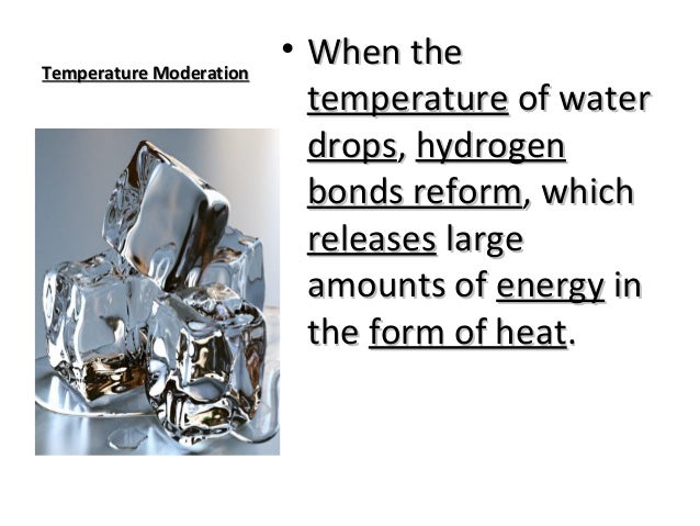 Biology Chemistry Overview and Properties of Water