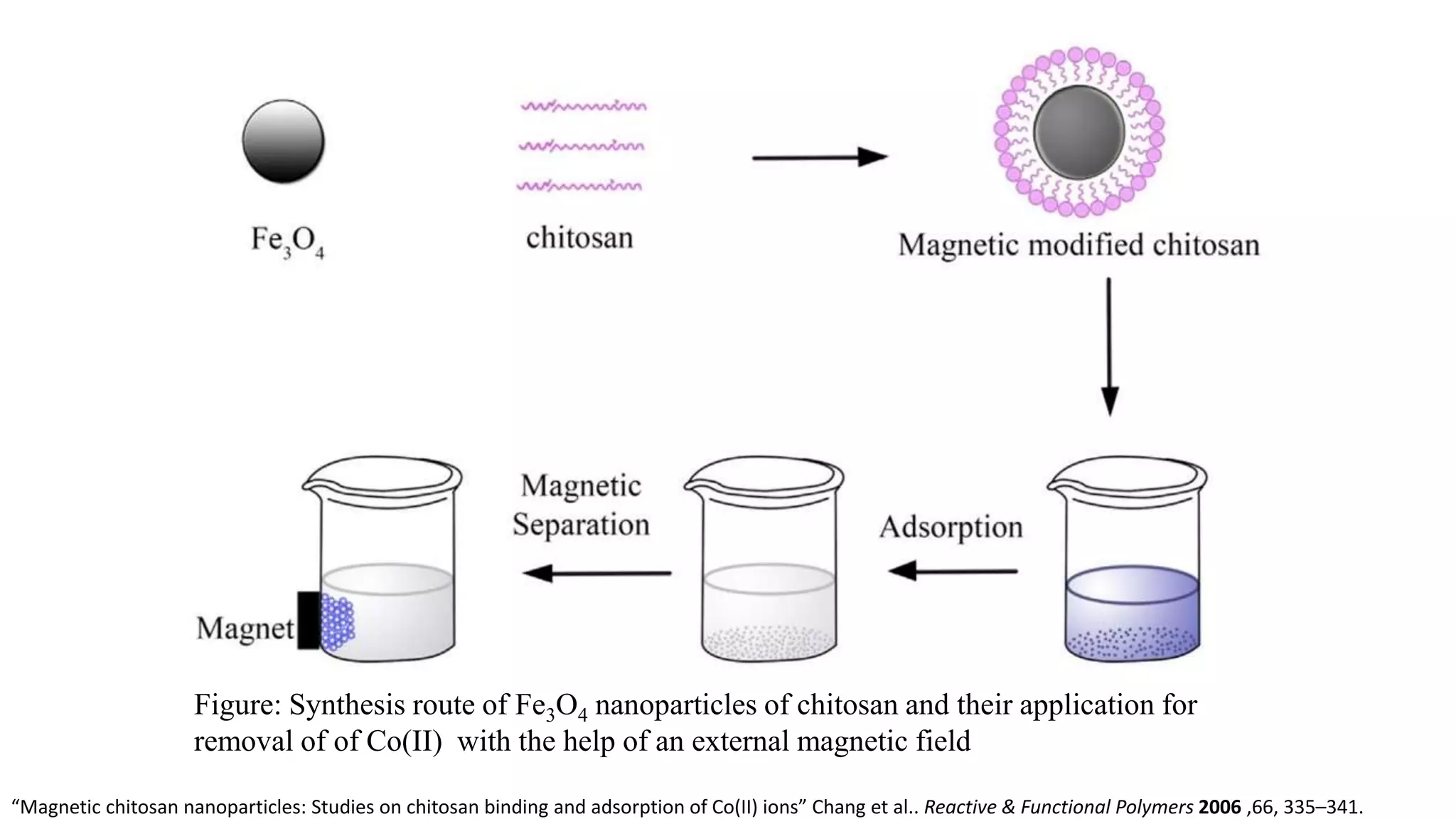 chitosan Nanoparticles | PPTX