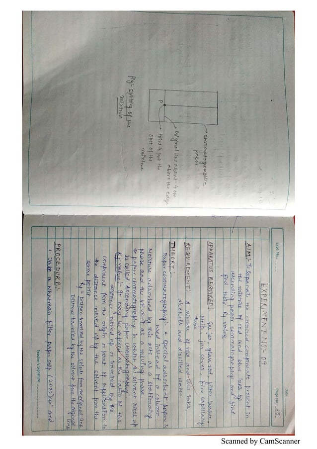 CHEMISTRY PRACTICAL RECORD XII | PDF