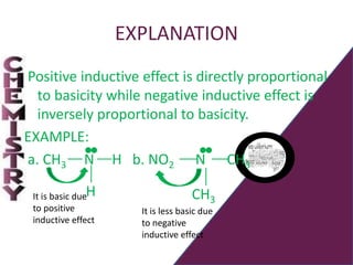ORGANIC BASES | PPTX
