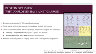 Chemistry Presentation Ion Exchange Chromatography | PPTX
