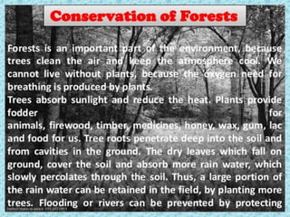 Conservation of Natural Resources | PPTX