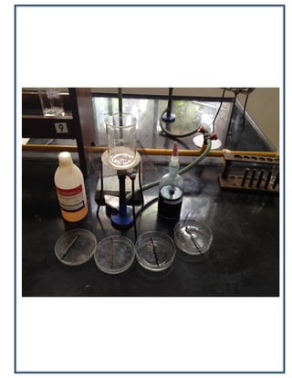 Chemistry Investigatory Project Class 12 | PDF