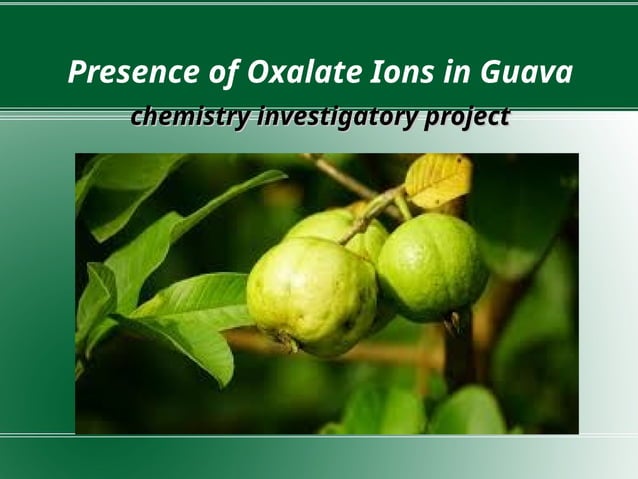 presence of oxalate ions in guava , investigation project | PPT