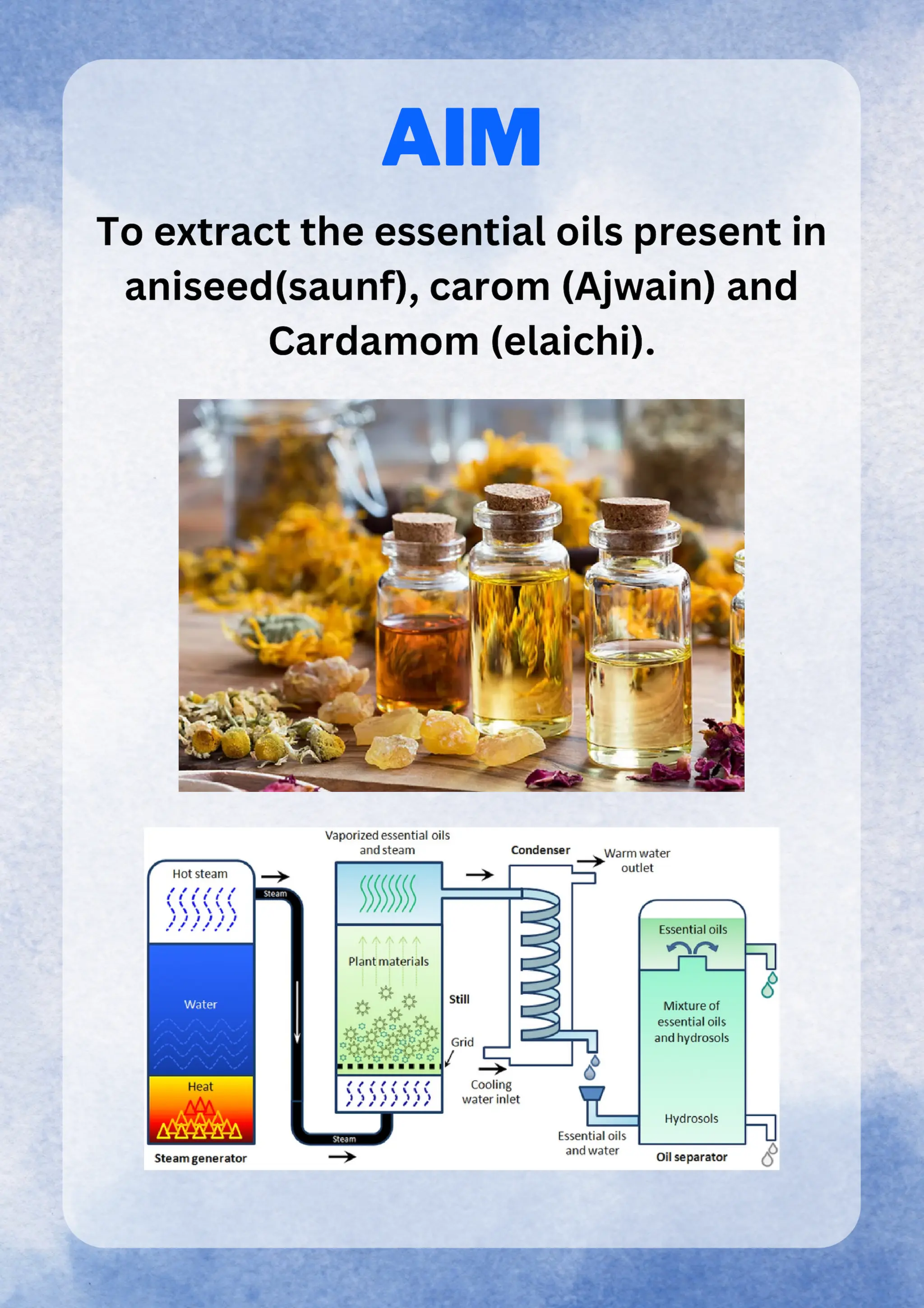Chemistry project for class 12 on extracting essential oils from seeds ...