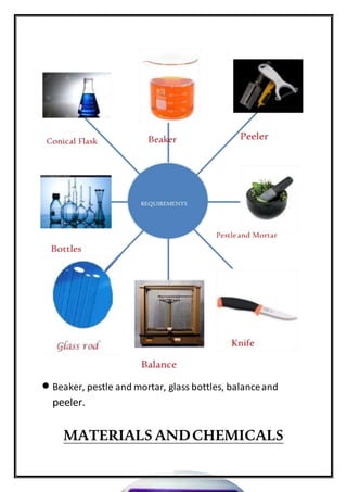 Potassium Model School Project