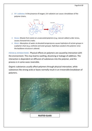 Polymers Chemistry Project Class 12