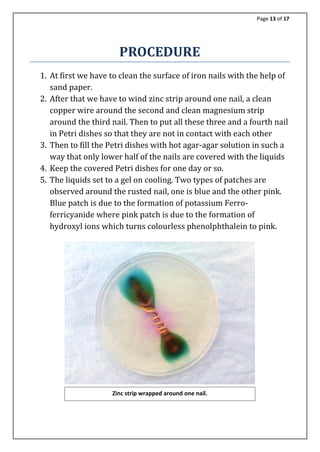 Potassium Model School Project