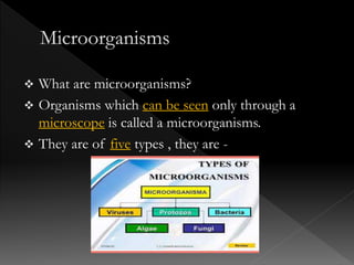 Chemistry project microorganisms | PPTX
