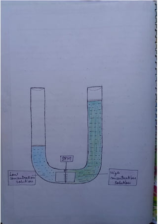 Chemistry project on colligative properties of class 12 CBSE 2022-2023 ...
