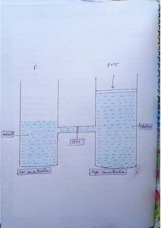 Chemistry project on colligative properties of class 12 CBSE 2022-2023 ...