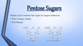 Chemistry project report-1.pptx