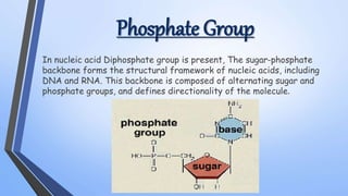 Chemistry project report-1.pptx
