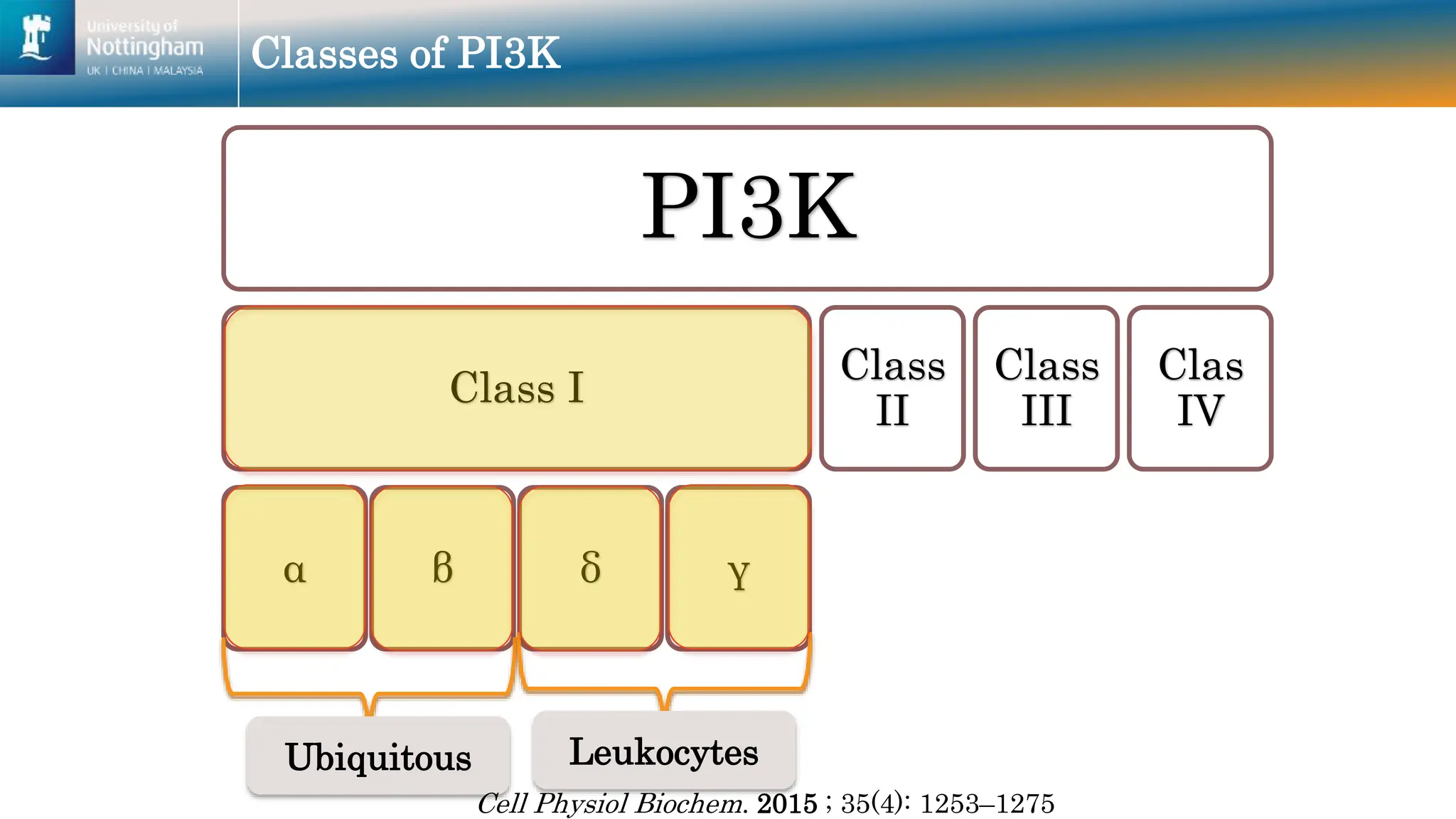 Discover of PI3K inhibitors for treatment of blood cancers and ...