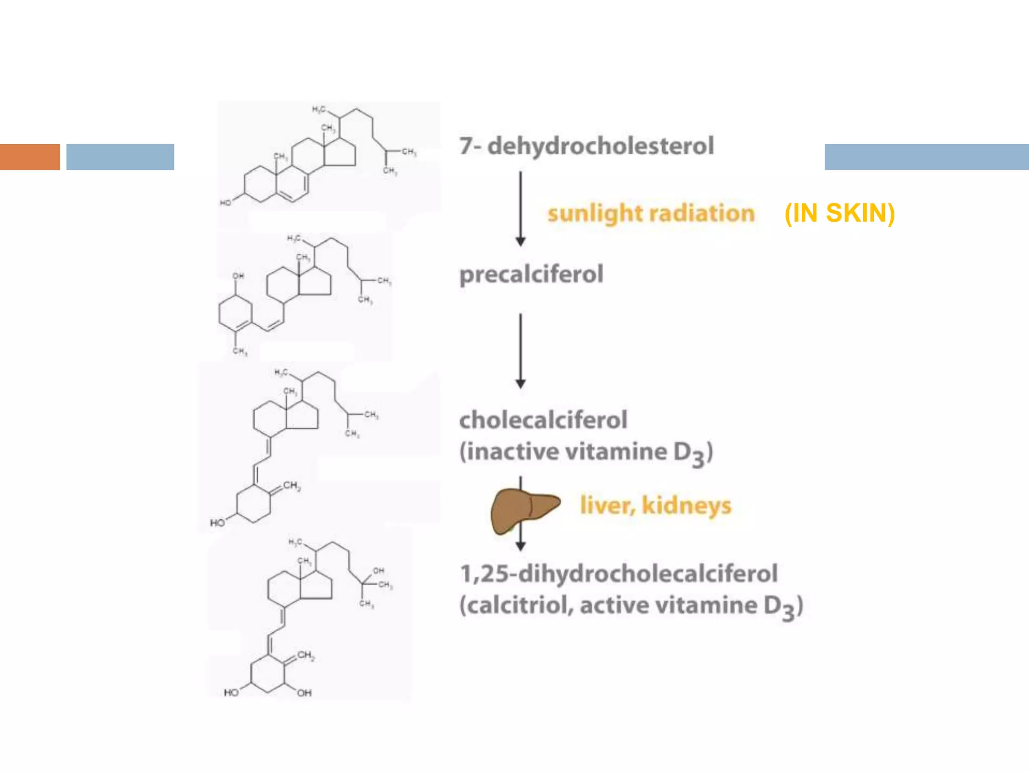 Chemistry, sources, synthesis & function of | PPT