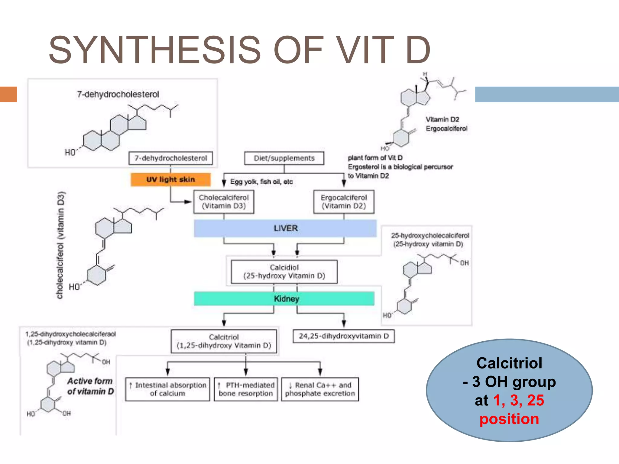 Chemistry, sources, synthesis & function of | PPT