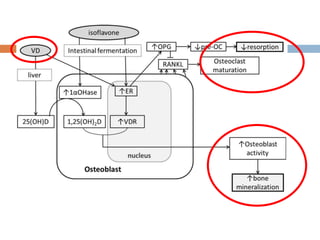 Chemistry, sources, synthesis & function of | PPT