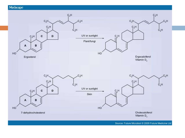 Chemistry, sources, synthesis & function of | PPT