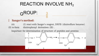 Chemistry structure and function of protien-1.pptx