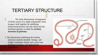 Chemistry structure and function of protien-1.pptx