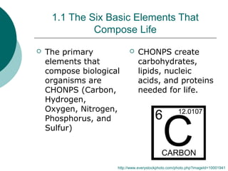 Biology Power Point | PPT