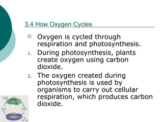 Biology Power Point | PPT