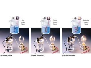 Electrolytes | PPTX