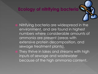 Eubacteria Environment