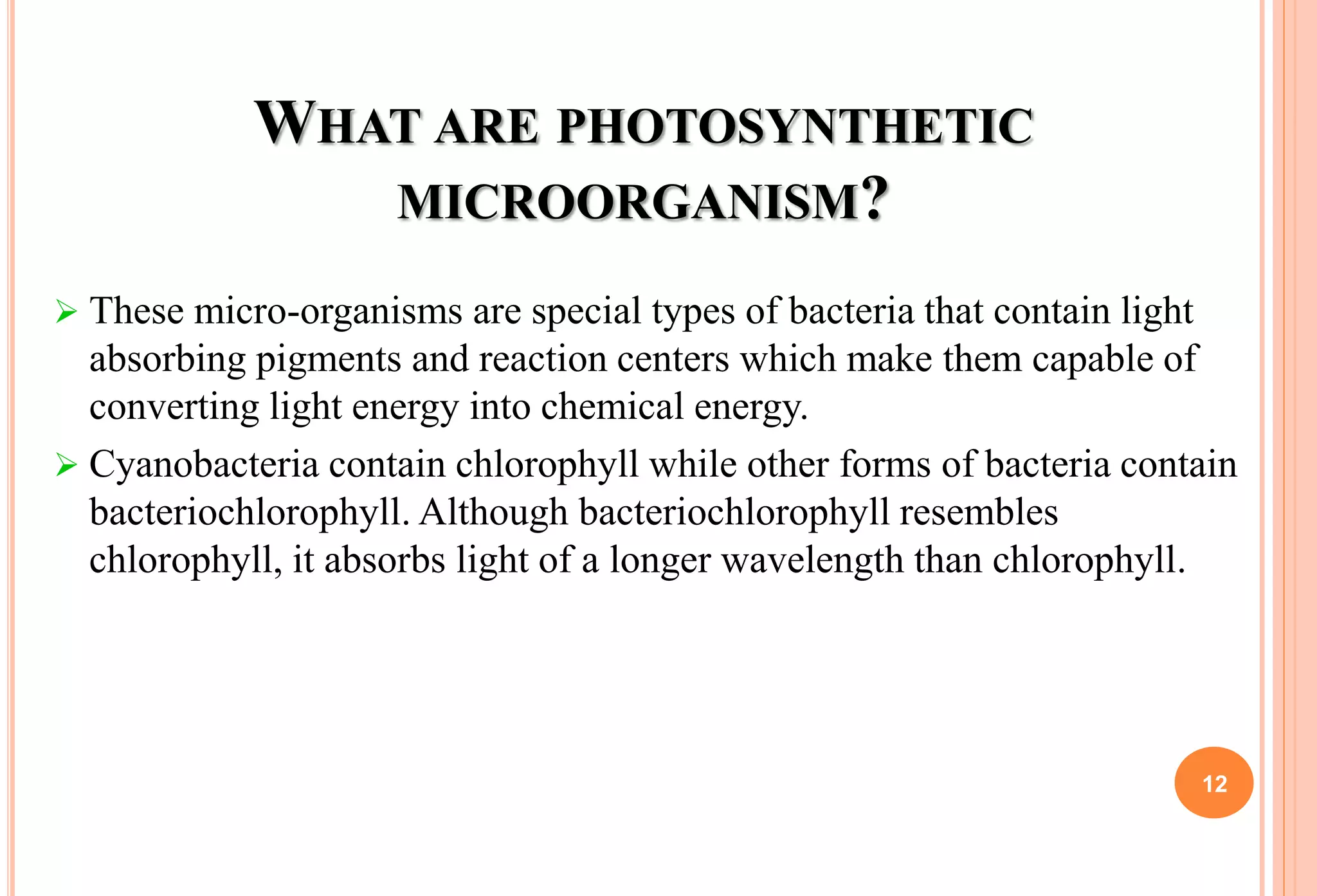 Chemoheterotrophs and photosynthetic microorganism | PPTX