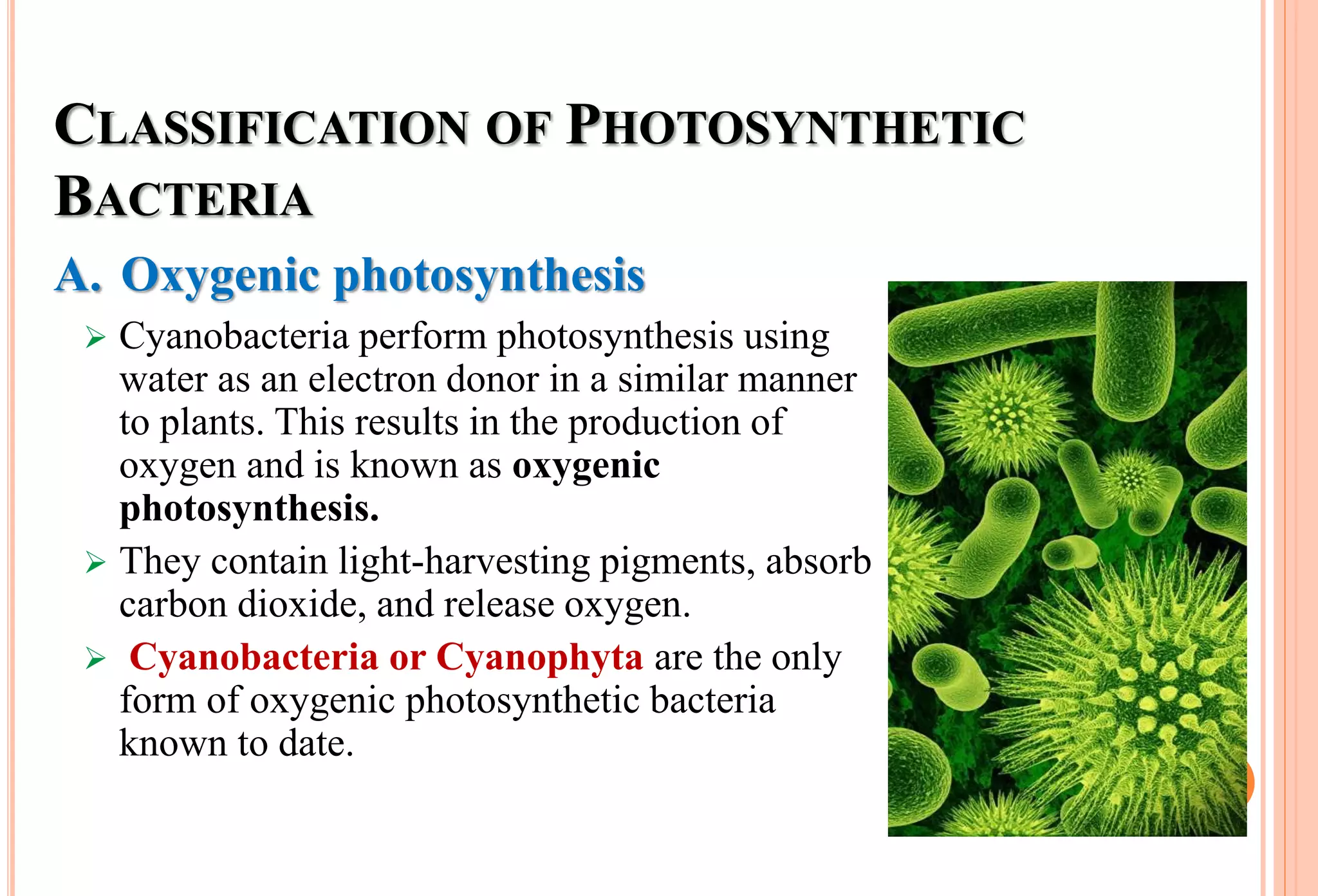 Chemoheterotrophs and photosynthetic microorganism | PPTX
