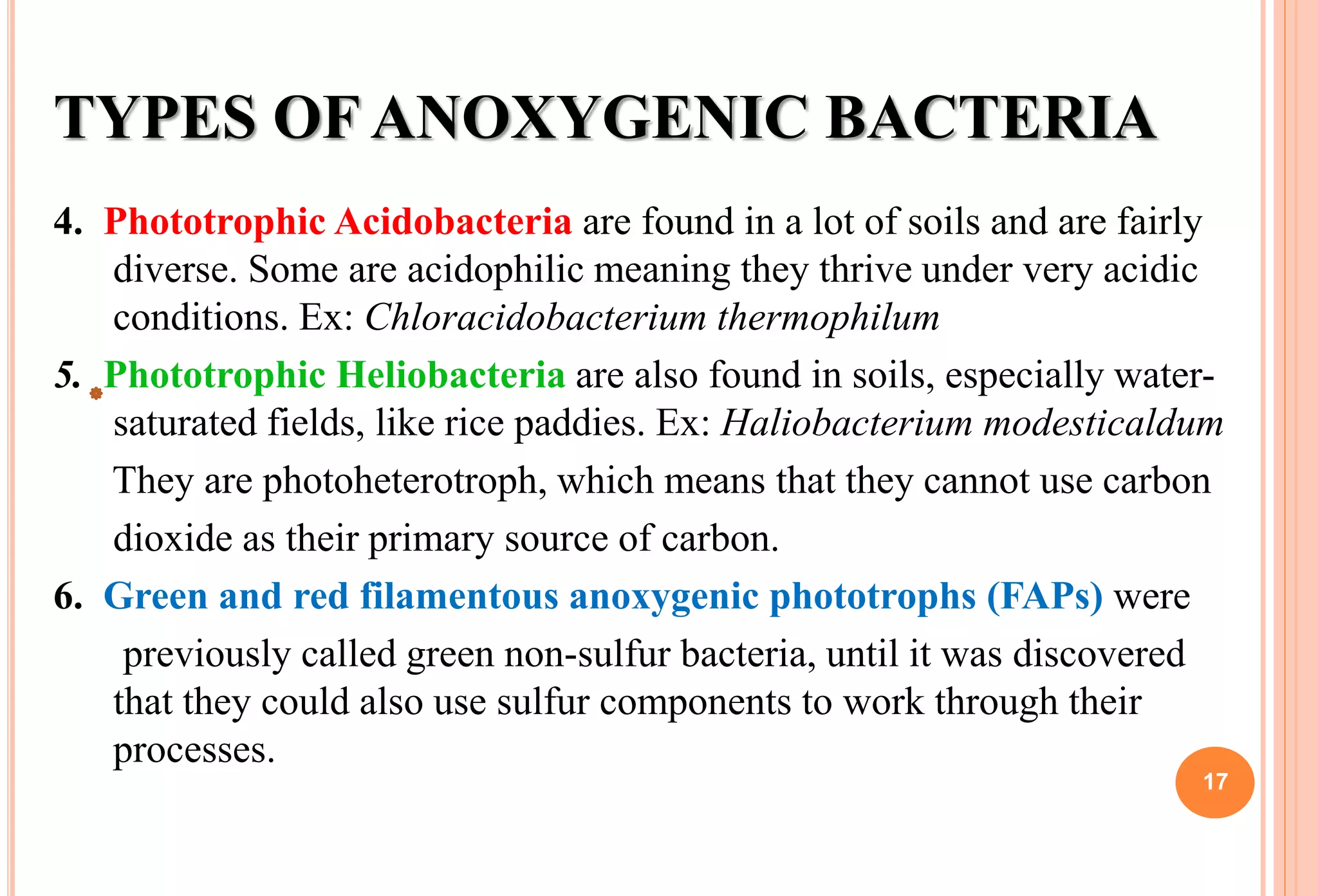 Chemoheterotrophs and photosynthetic microorganism | PPTX