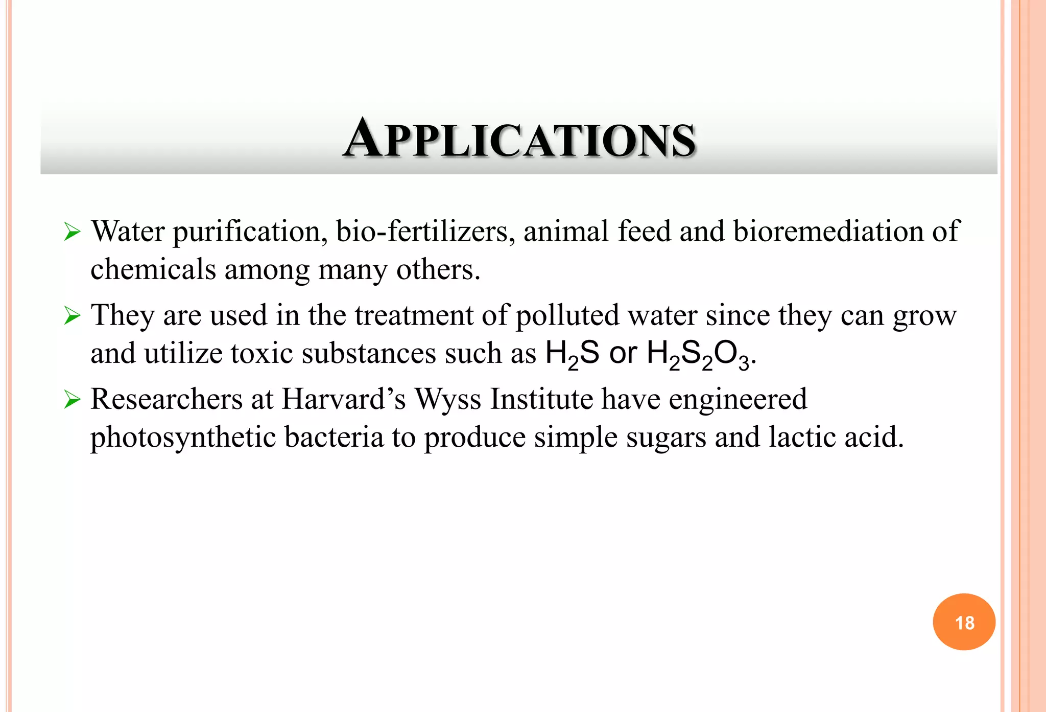 Chemoheterotrophs and photosynthetic microorganism | PPTX