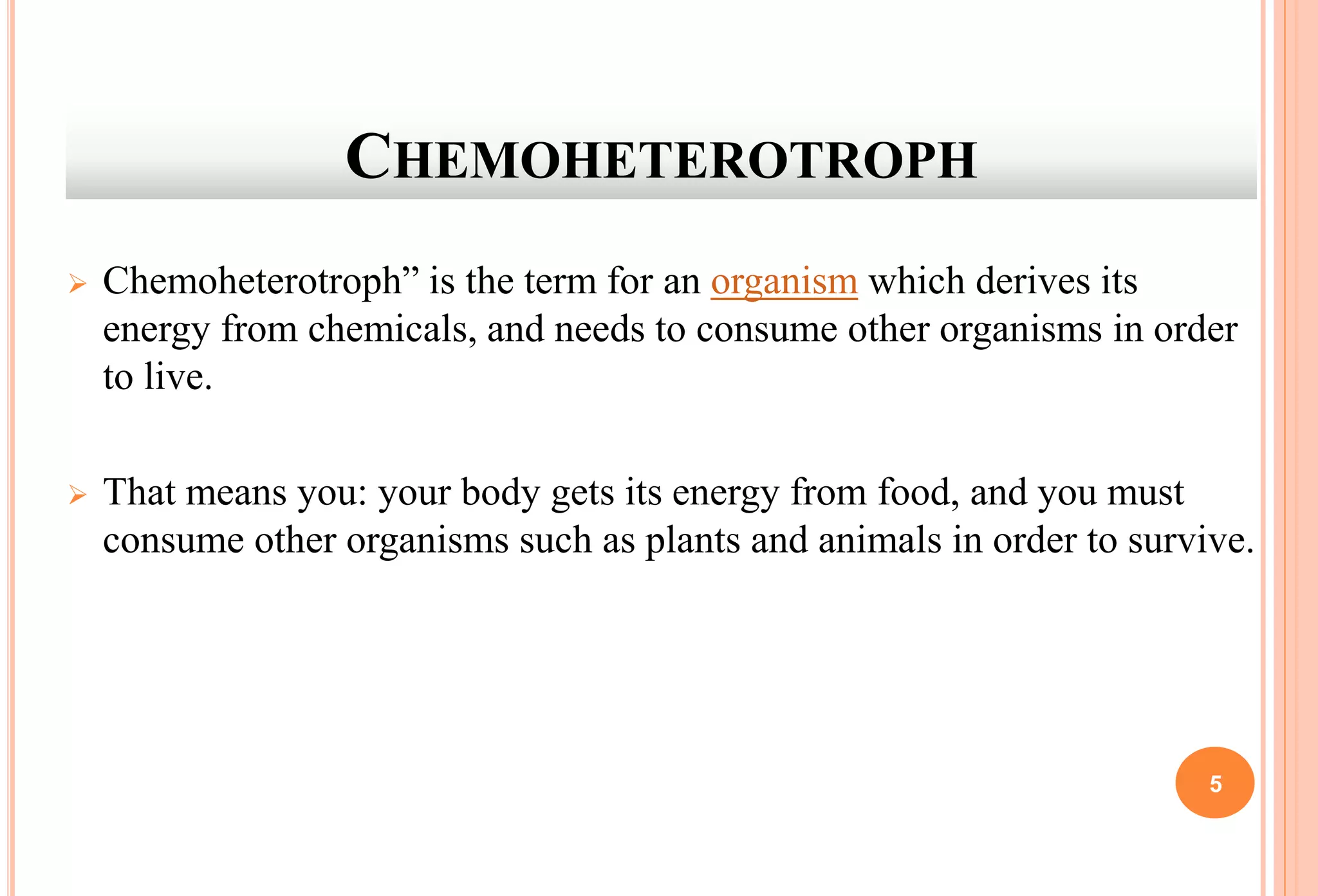 Chemoheterotrophs and photosynthetic microorganism | PPTX