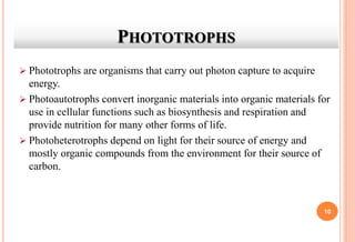 Chemoheterotrophs and photosynthetic microorganism | PPTX