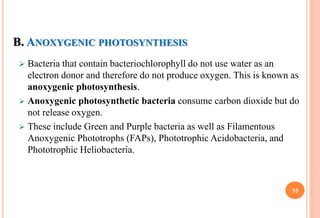 Chemoheterotrophs and photosynthetic microorganism | PPTX