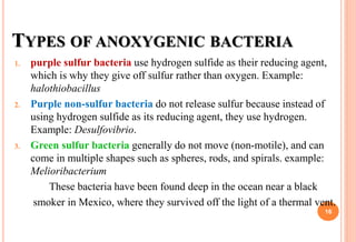 Chemoheterotrophs and photosynthetic microorganism | PPTX