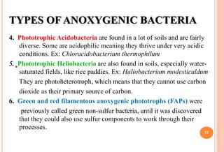 Chemoheterotrophs and photosynthetic microorganism | PPTX