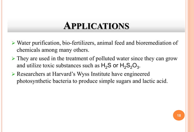 Chemoheterotrophs and photosynthetic microorganism | PPTX | Science