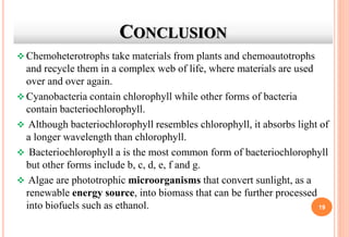 Chemoheterotrophs and photosynthetic microorganism | PPTX