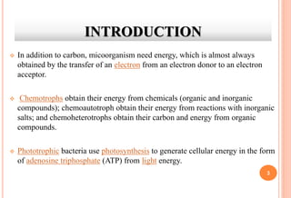 Chemoheterotrophs and photosynthetic microorganism | PPTX