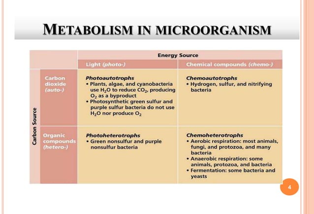 Chemoheterotrophs and photosynthetic microorganism | PPTX | Science