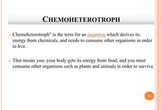 Chemoheterotrophs and photosynthetic microorganism | PPTX