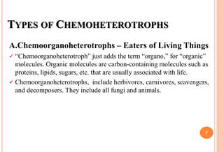Chemoheterotrophs and photosynthetic microorganism | PPTX