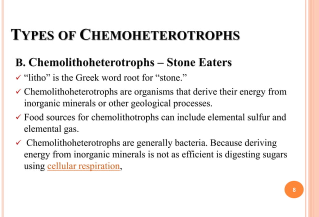 Chemoheterotrophs and photosynthetic microorganism | PPTX | Science