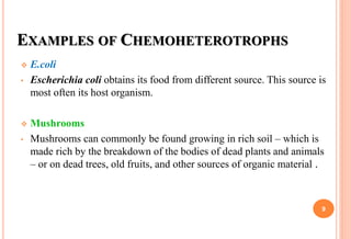 Chemoheterotrophs and photosynthetic microorganism | PPTX