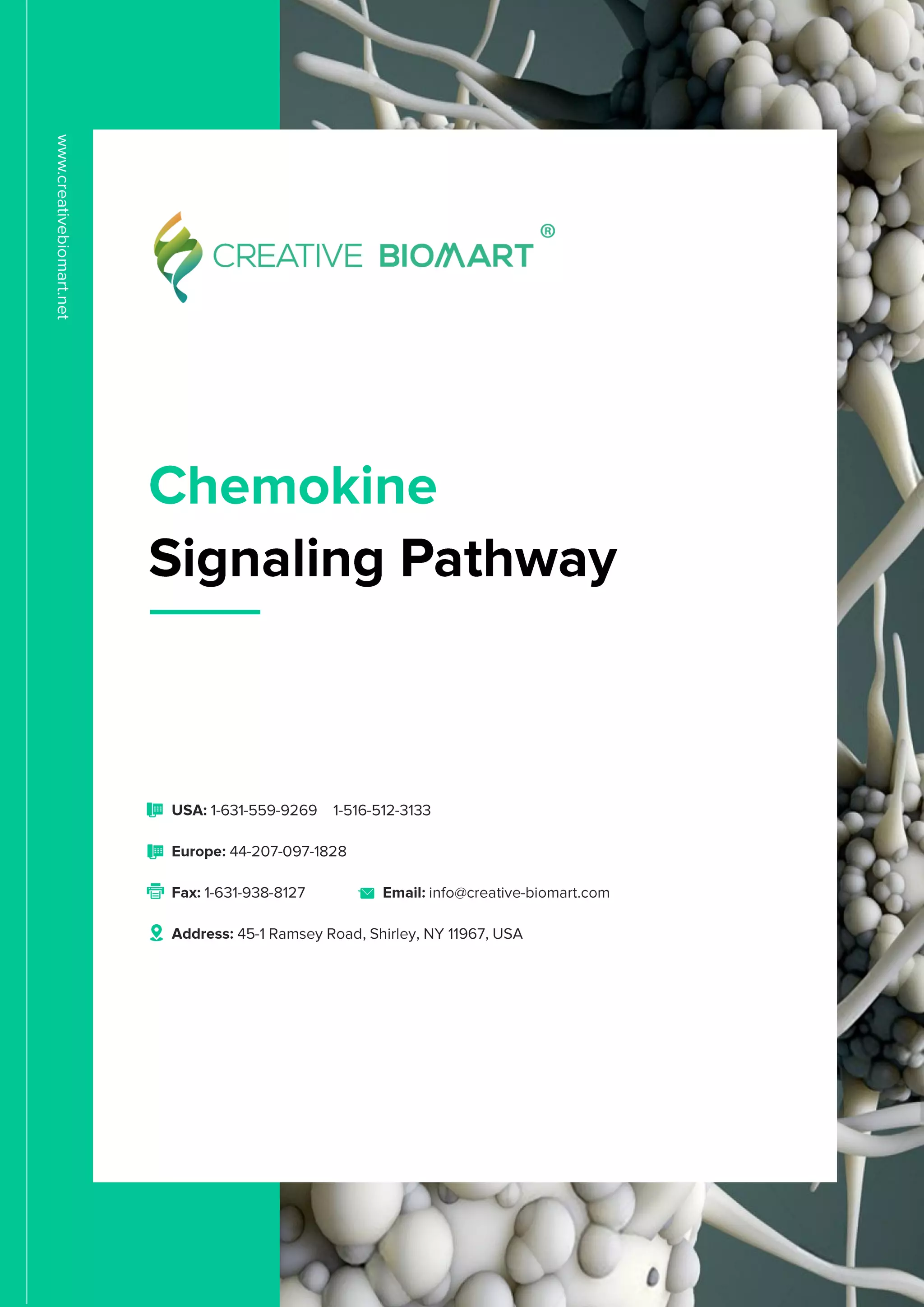 Chemokine signaling pathway | PDF