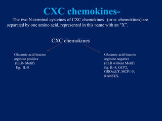 Chemokines | PPT