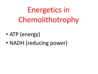 Chemolithotrophy | PPTX