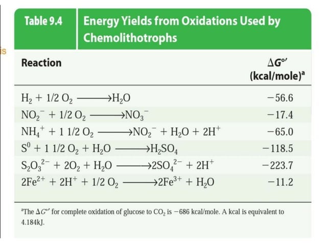 Chemolithotrophy | PPTX
